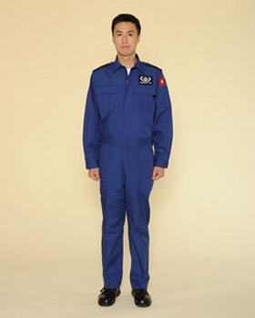 Government Flying Service - Aircraft Engineer