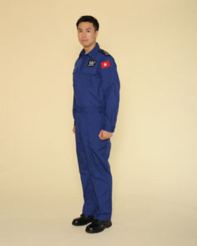 Government Flying Service - Aircraft Engineer