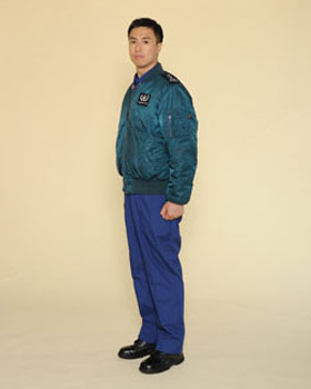 Government Flying Service - Aircraft Engineer